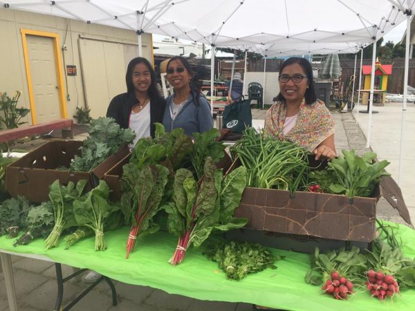 Interfaith Sustainable Food Collaborative – Multiplier